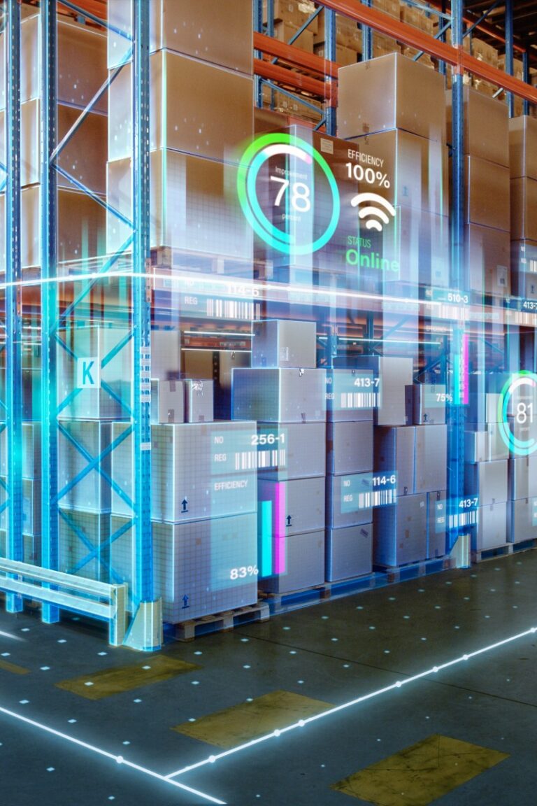 Software WMS para la gestión de almacenes logísticos